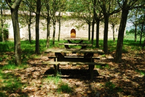 Ayuntamiento Cendea de Olza / Oltza Zendeako Udala - Sitio web del ...